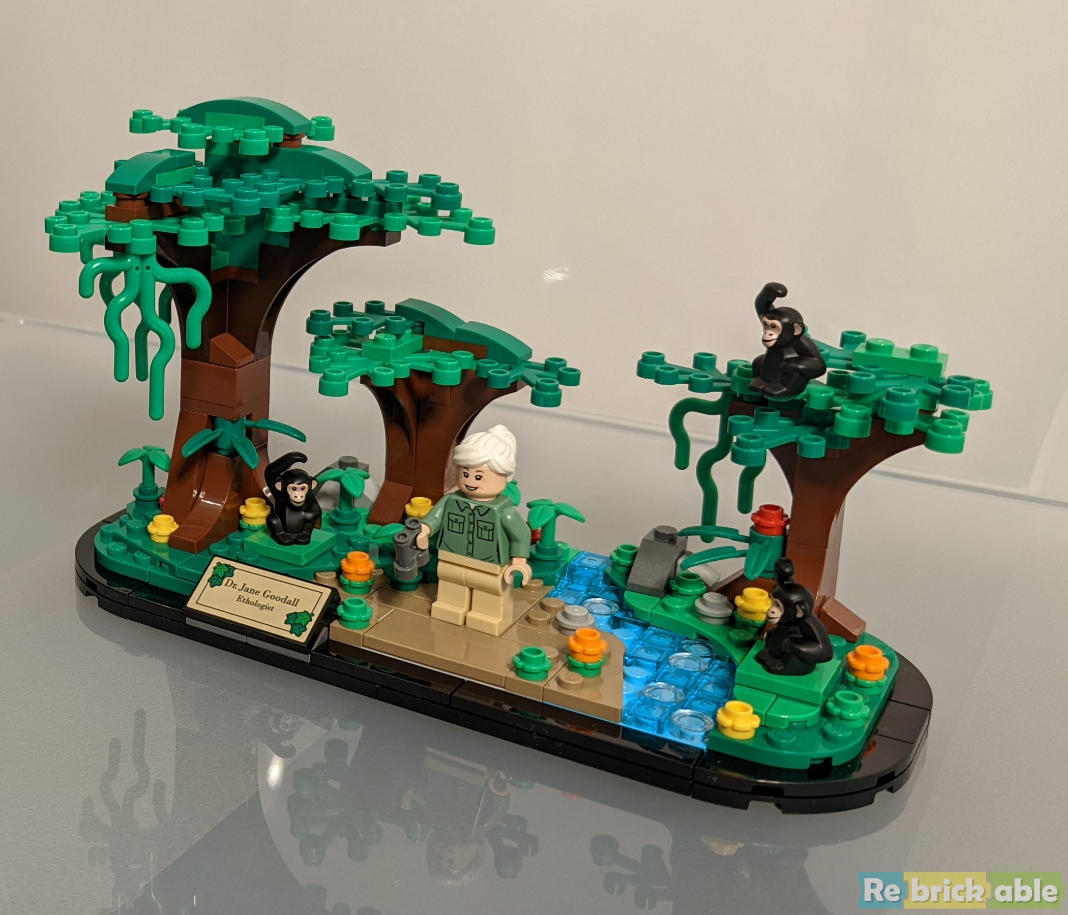 Review: 40530-1 - Jane Goodall Tribute | Rebrickable - Build with LEGO