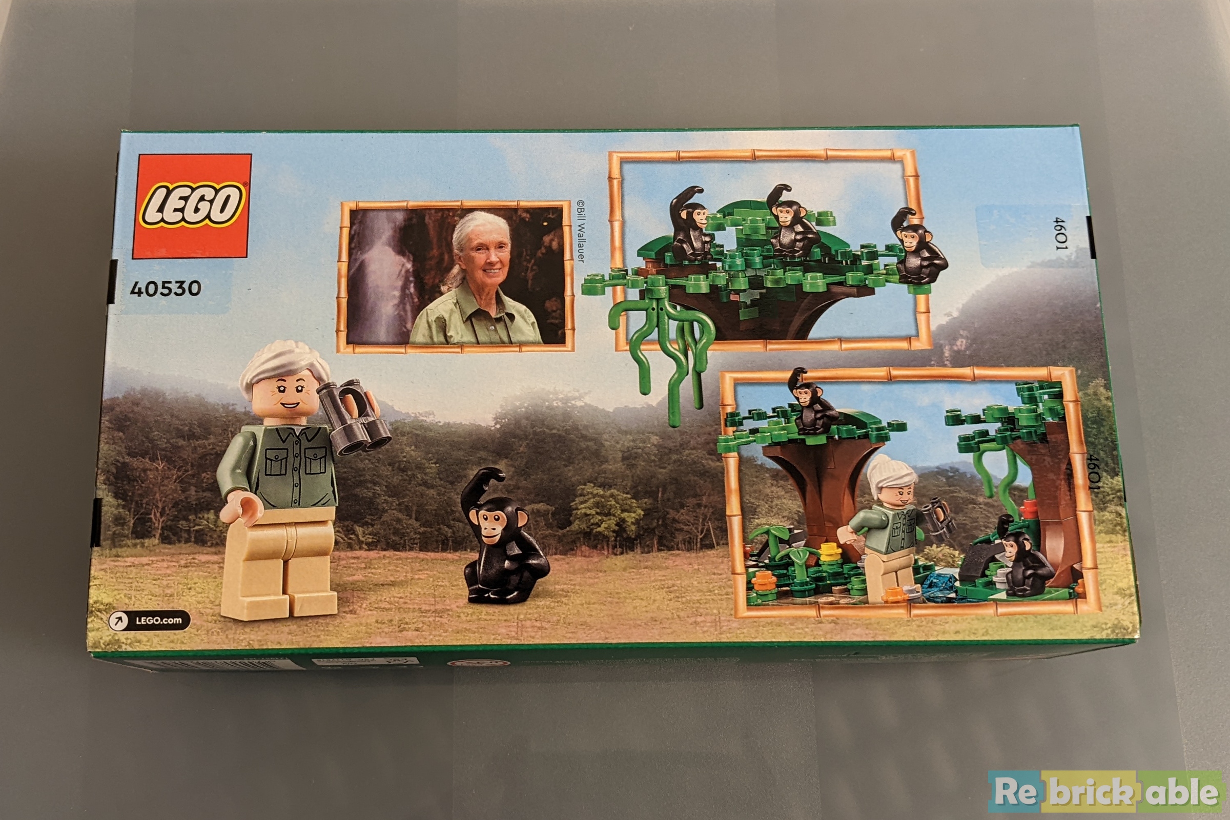 Review: 40530-1 - Jane Goodall Tribute | Rebrickable - Build with LEGO
