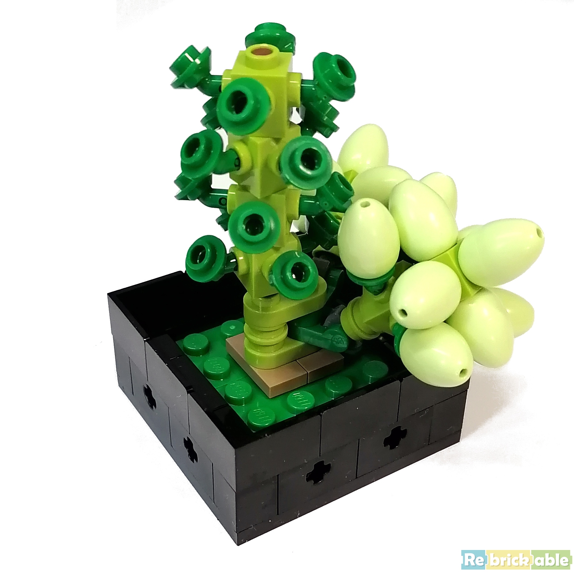 Review: 10309-1 - Succulents | Rebrickable - Build with LEGO