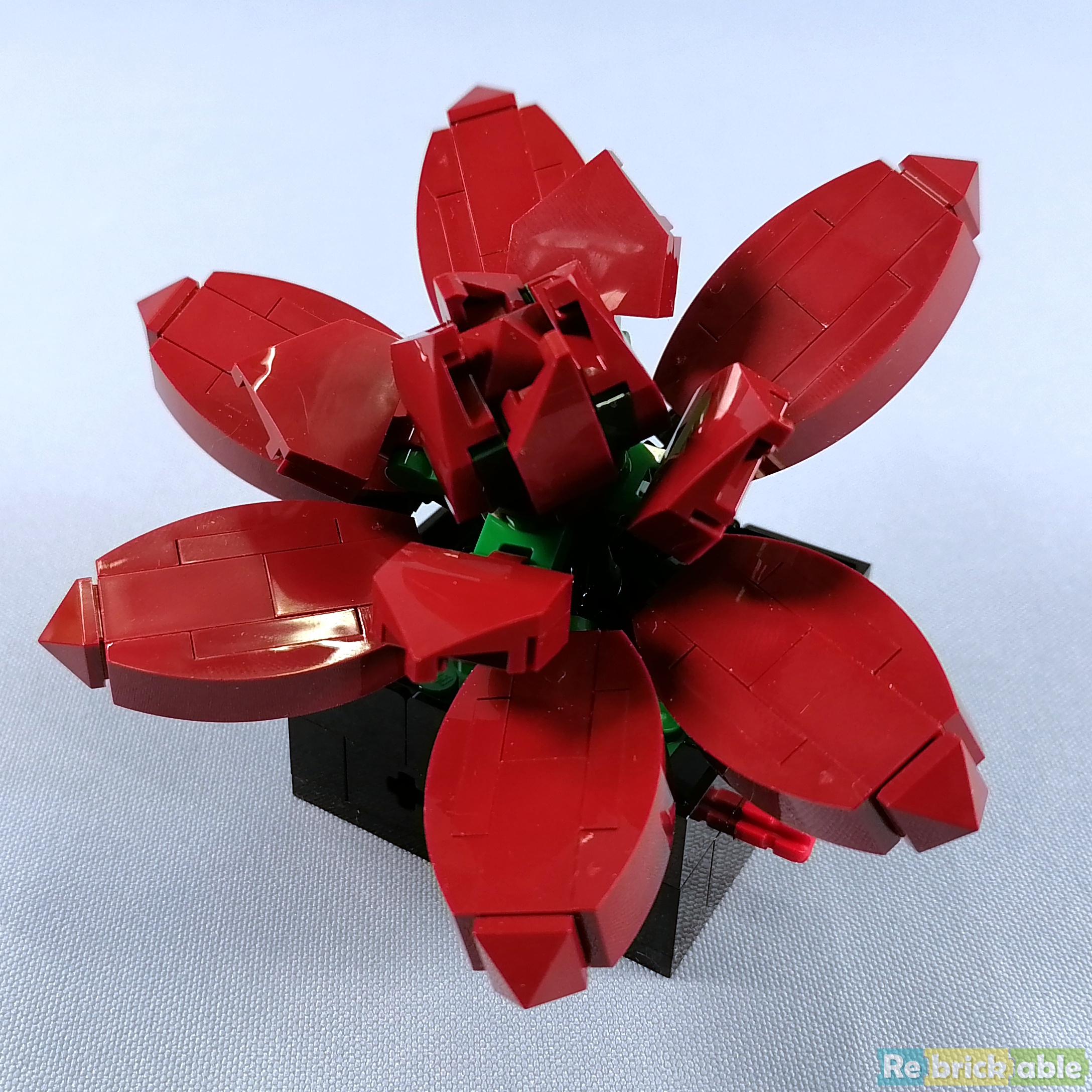 Review: 10309-1 - Succulents | Rebrickable - Build with LEGO