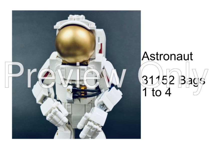 LEGO MOC Astronaut Walking on the Moon 31152+31147 by anderson_brick ...