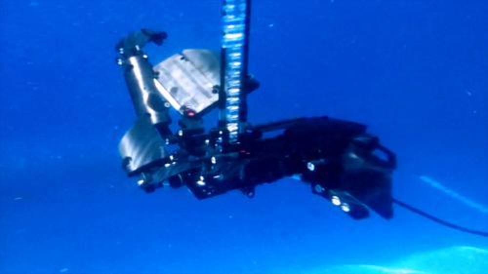 LEGO MOC Motorised Stingray by vmln8r | Rebrickable - Build with LEGO