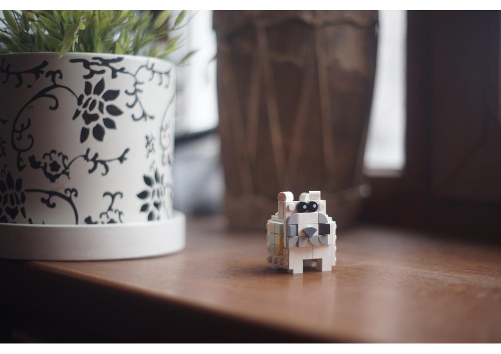 LEGO MOC-101336 Miniature Schnauzer by Vospi and Fantazerka ...