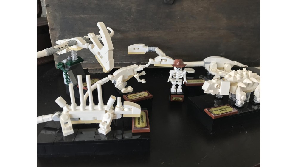 LEGO MOC 21320 Five prehistoric creatures by Brickean | Rebrickable ...