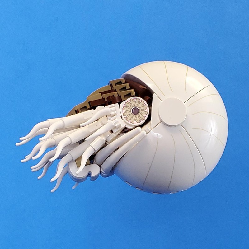 LEGO MOC Nautilus by JakeSadovich | Rebrickable - Build with LEGO