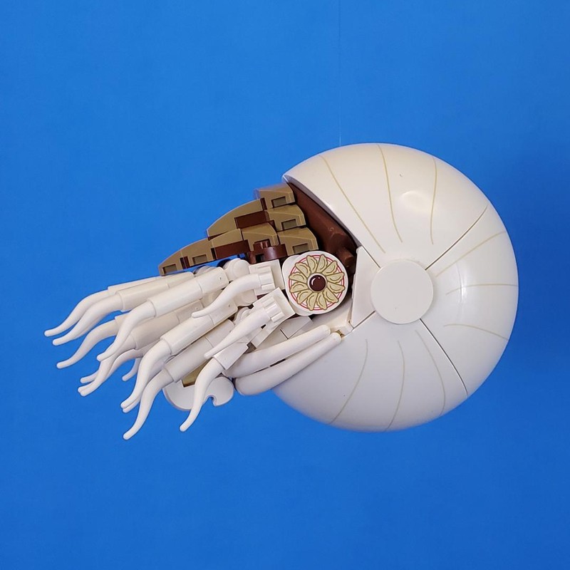 LEGO MOC Nautilus by JakeSadovich | Rebrickable - Build with LEGO