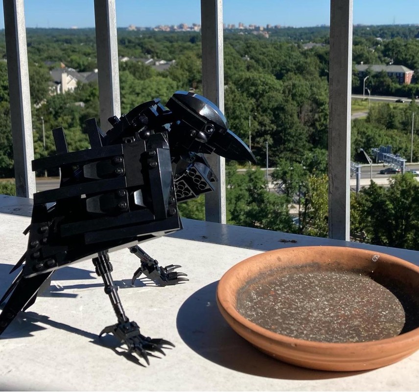 LEGO MOC Crow by BAM Mocs | Rebrickable - Build with LEGO