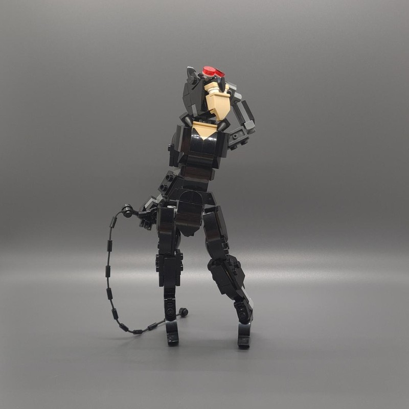 LEGO MOC Arkham: Catwoman by Moc_Lobster | Rebrickable - Build with LEGO