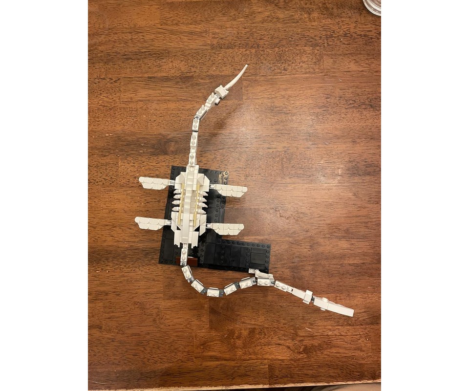 LEGO MOC Elasmosaurus Fossil - Lego Fossils MOC by Cdivita72 ...