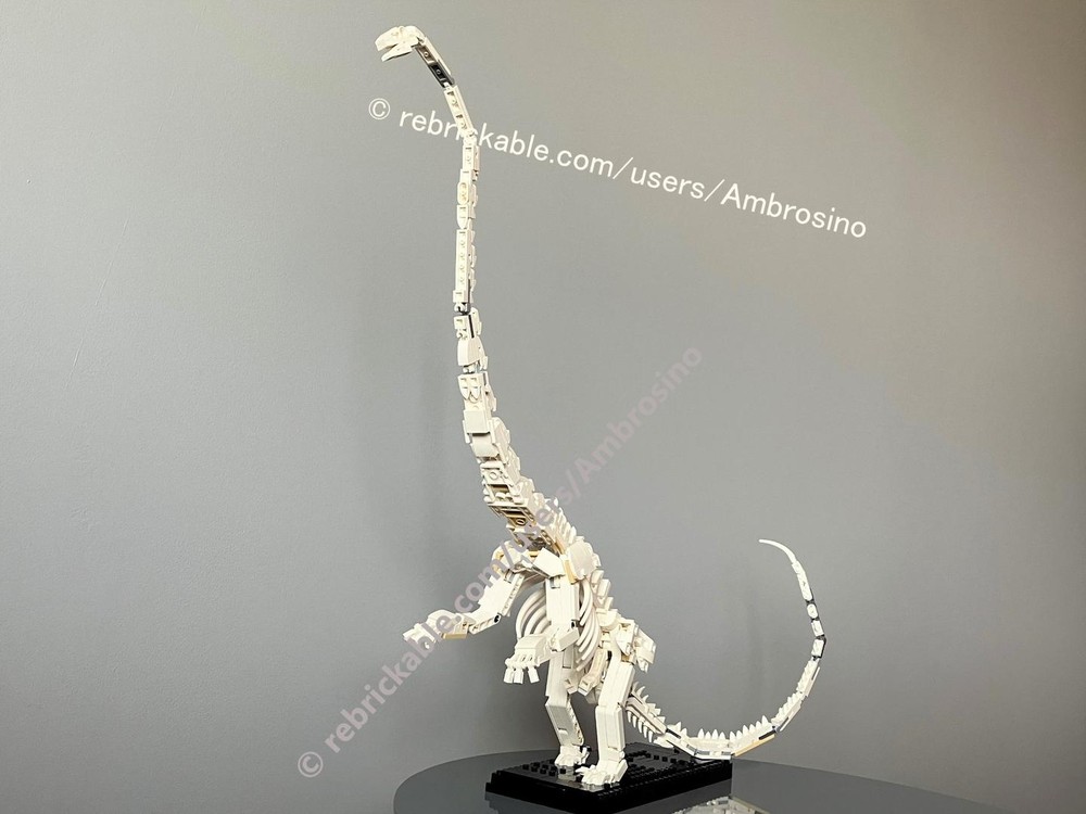 LEGO MOC 21320: Barosaurus skeleton by Ambrosino | Rebrickable - Build ...