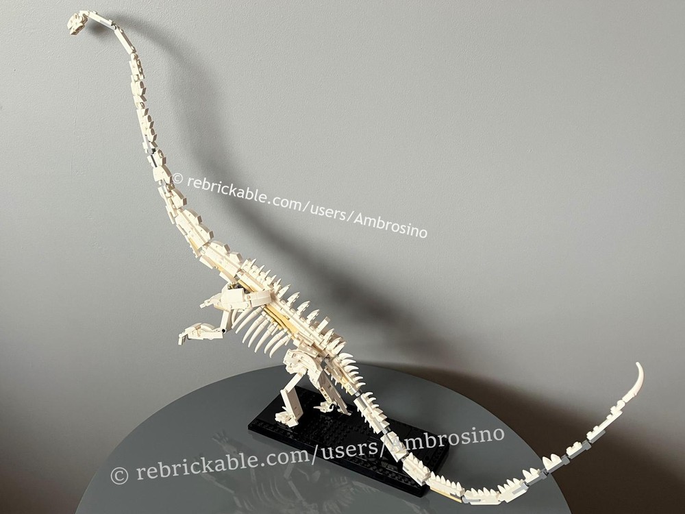 LEGO MOC 21320: Barosaurus skeleton by Ambrosino | Rebrickable - Build ...