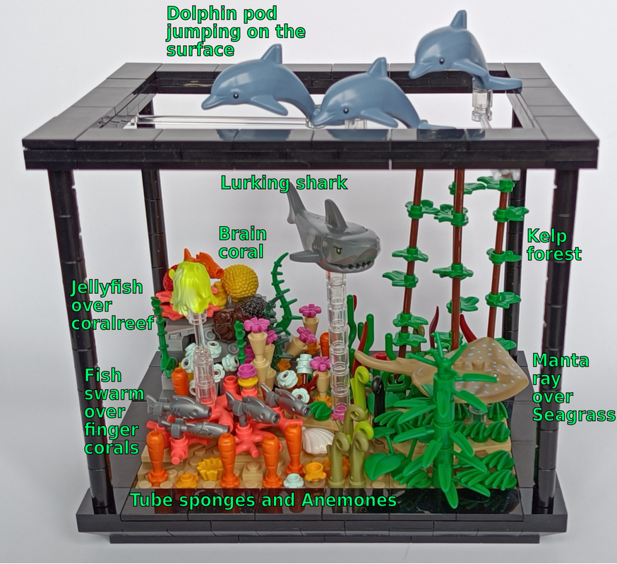 LEGO MOC Sea life by Kaero | Rebrickable - Build with LEGO