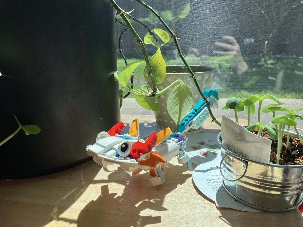 LEGO MOC 31140 - Axolotl by Minisnauzer | Rebrickable - Build with LEGO