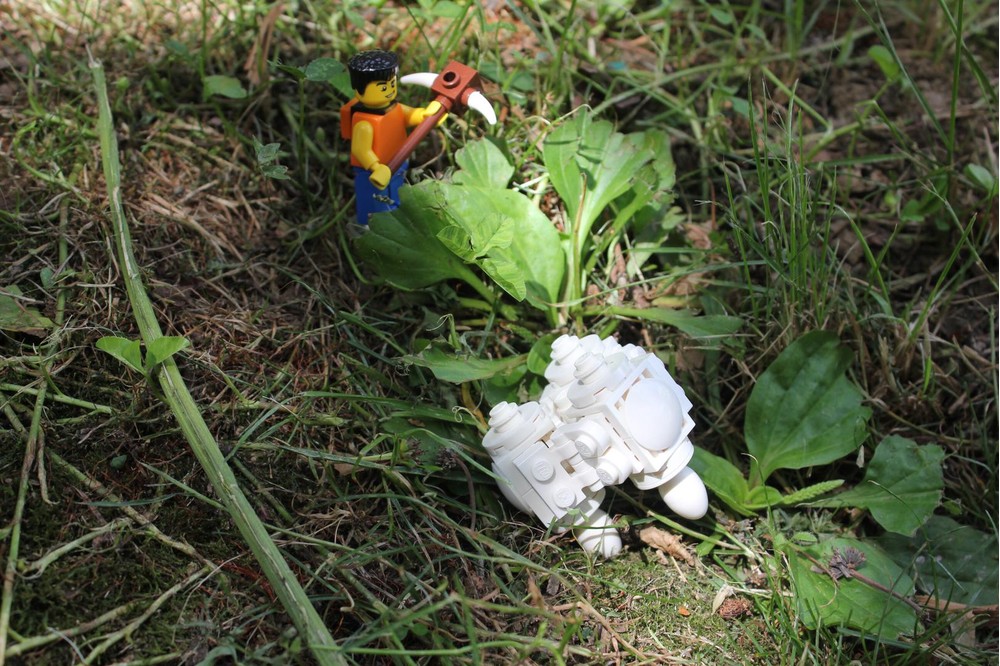 LEGO MOC (G) - The Milk Molar by Groundedbuilder | Rebrickable - Build ...