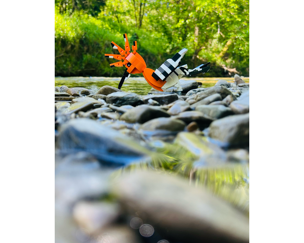 LEGO MOC Hoopoe life size by DiegoFontana | Rebrickable - Build with LEGO