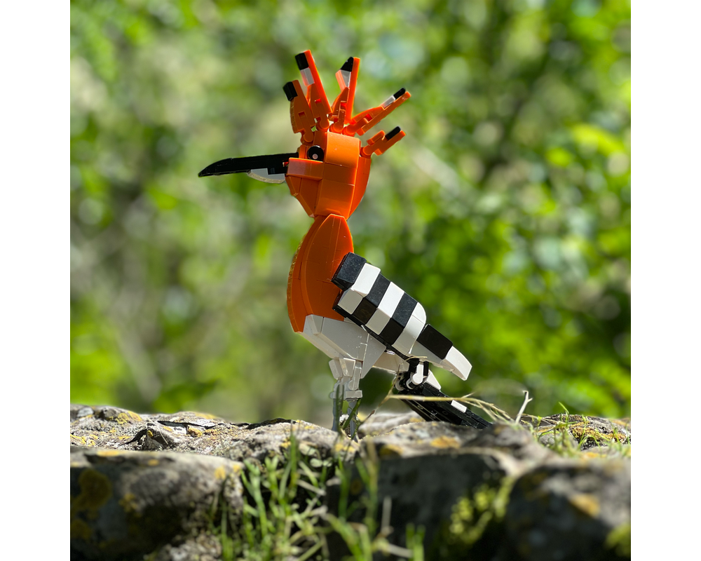 LEGO MOC Hoopoe life size by DiegoFontana | Rebrickable - Build with LEGO