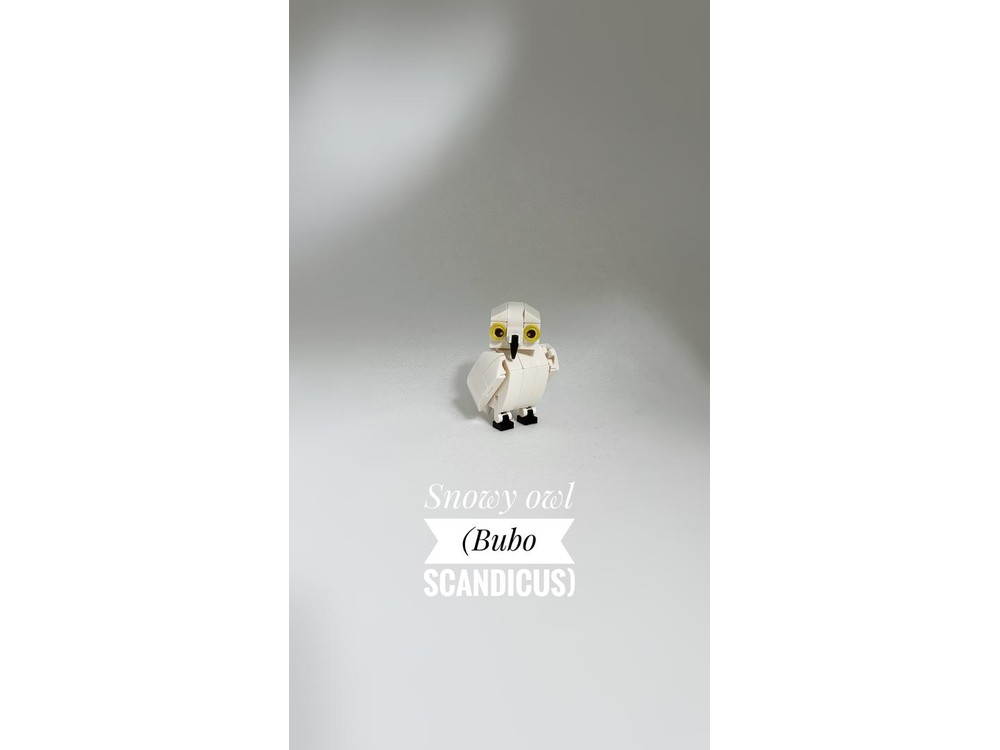 Lego Moc Snowy Owl By Diegofontana Rebrickable Build With Lego