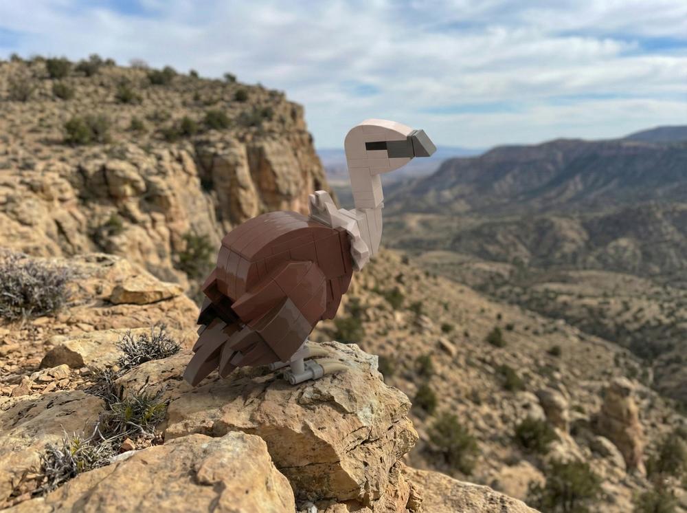 LEGO MOC Griffon Vulture (Gyps fulvus) by DiegoFontana | Rebrickable ...