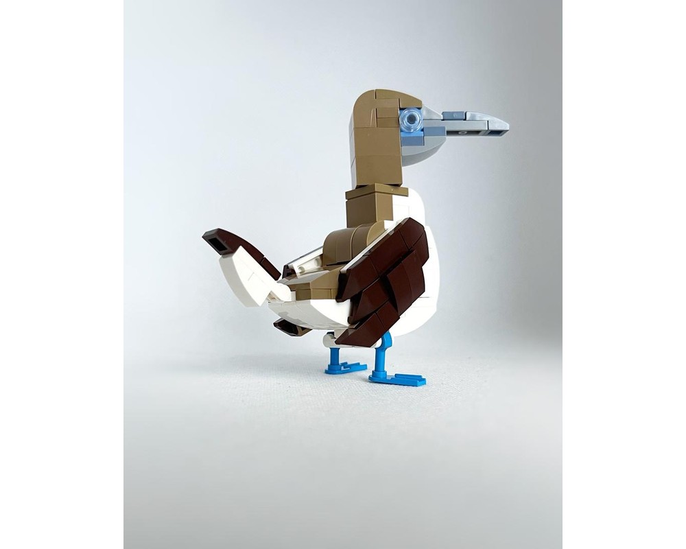 LEGO MOC Blue-footed booby with flea (sula nebouxii) by DiegoFontana ...