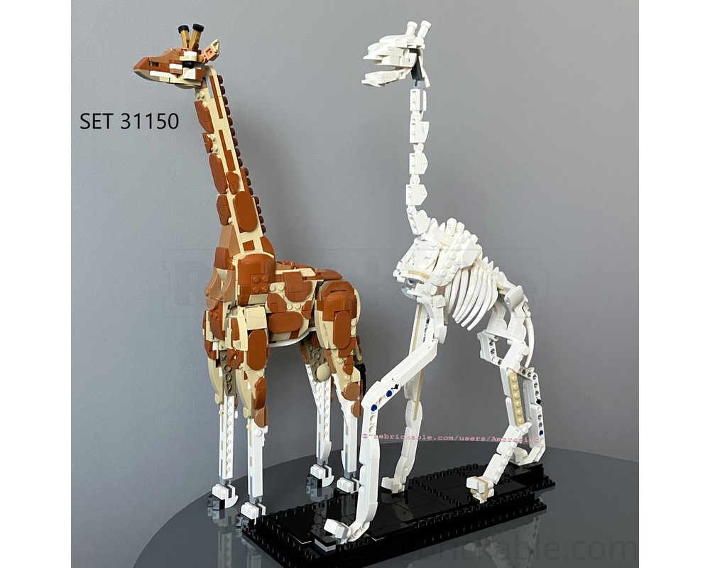 LEGO MOC 21320 Giraffe skeleton by Ambrosino | Rebrickable - Build with ...