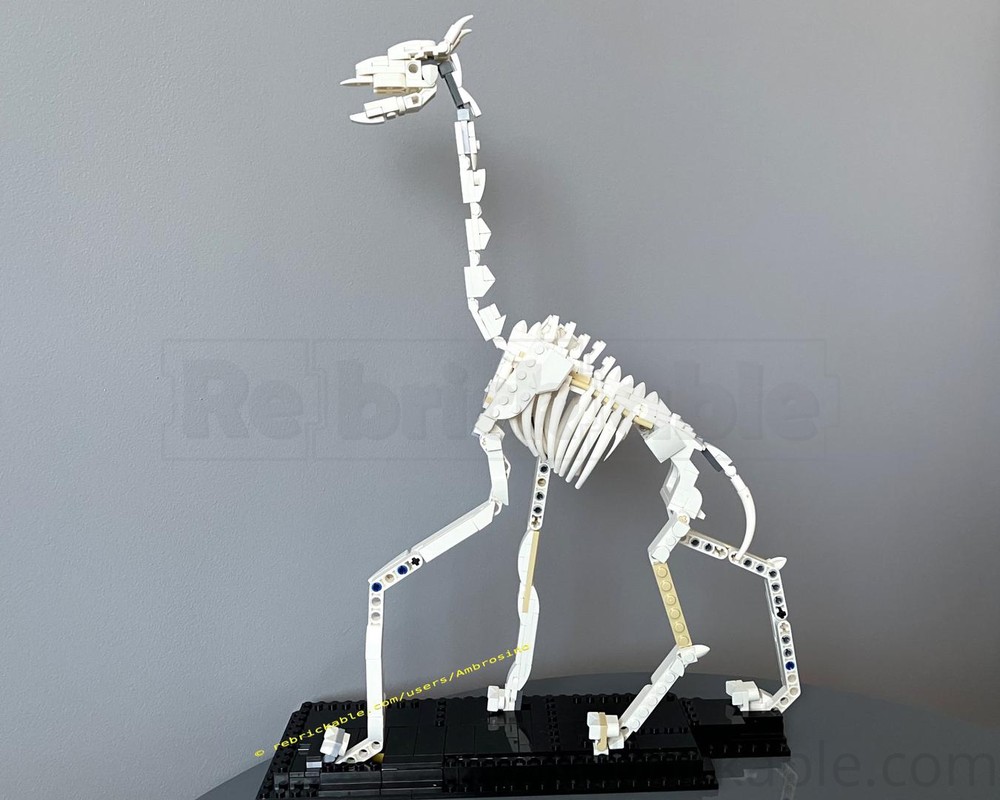 LEGO MOC 21320 Giraffe skeleton by Ambrosino | Rebrickable - Build with ...
