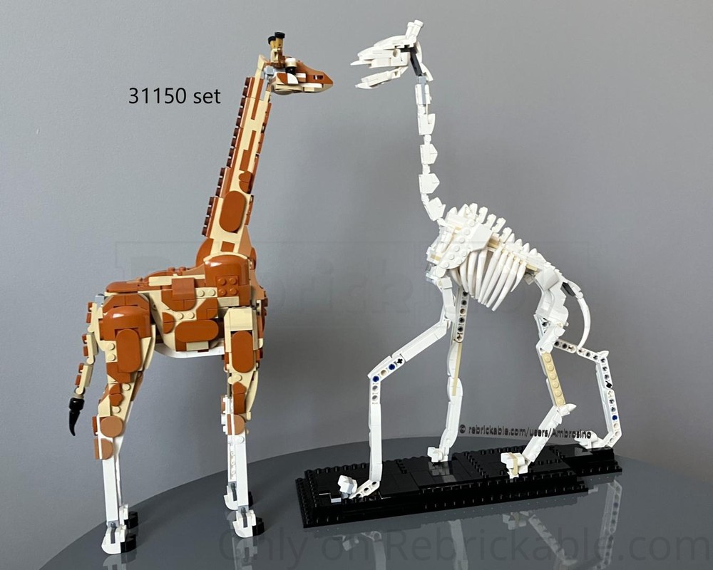 LEGO MOC 21320 Giraffe skeleton by Ambrosino | Rebrickable - Build with ...