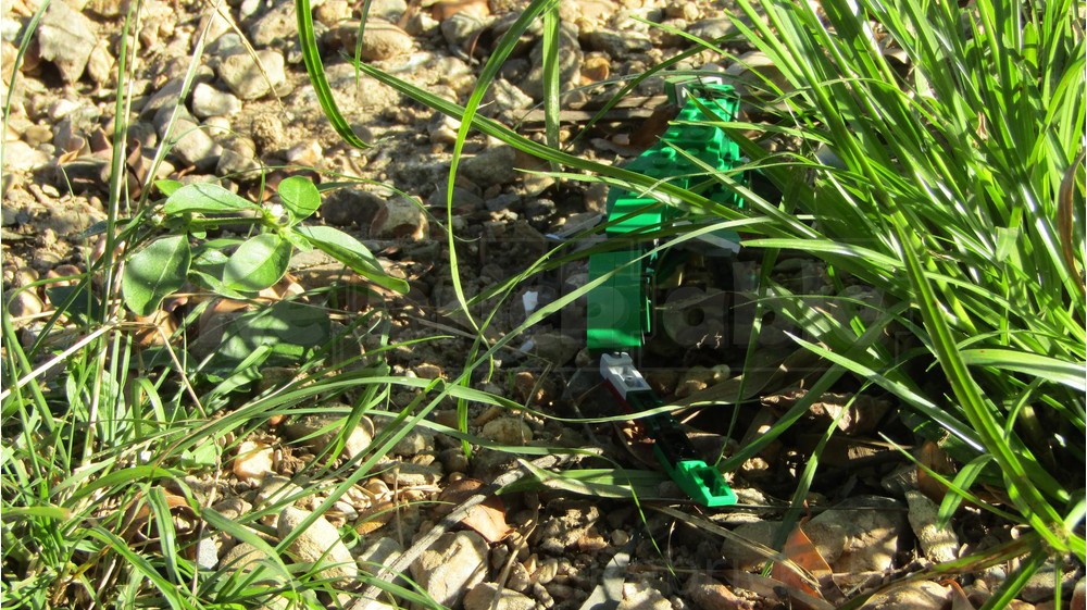 Lego Moc 31058 Megalania Varanus Priscus 127 Scale By Foosbubs