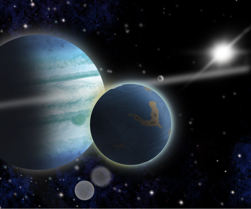 LEGO MOC OrchardBuilds "The Orchard of Life" Year 1 Bundle by ...