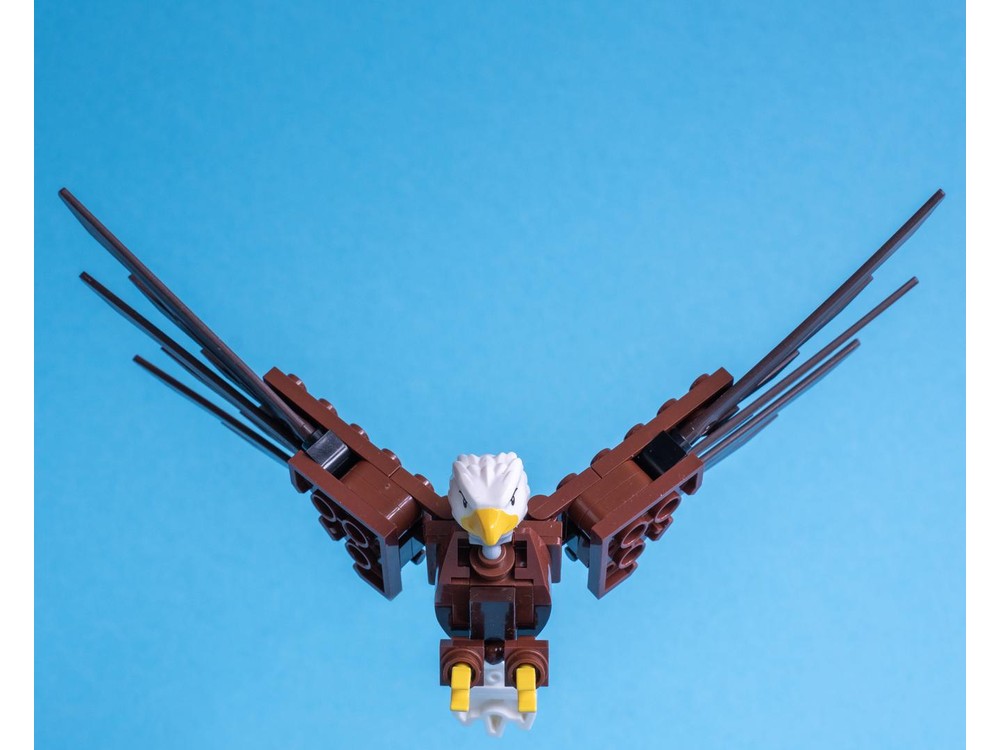 Lego Moc Eagle Body For Aarakocra Ranger Head By Skabram Rebrickable