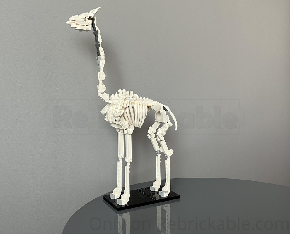 LEGO MOC Giraffe skeleton by Ambrosino | Rebrickable - Build with LEGO