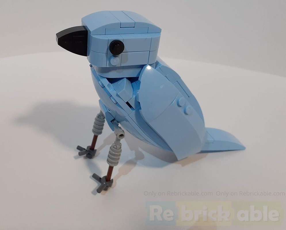 LEGO MOC Pinyon Jay by qbcrunch | Rebrickable - Build with LEGO
