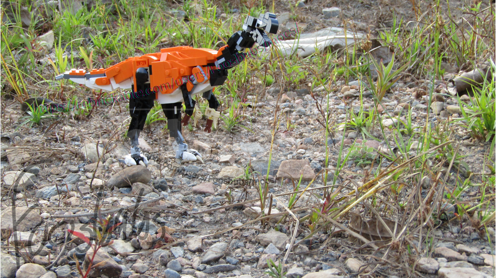 Lego Moc 31129 Gigantoraptor Erlianensis 131 Scale By Foosbubs