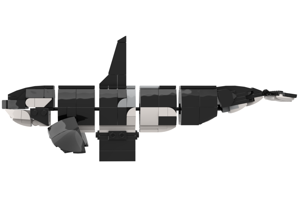 LEGO MOC-209634 Orca (Orcinus orca) "Killer Whale" by OrchardBuilds ...