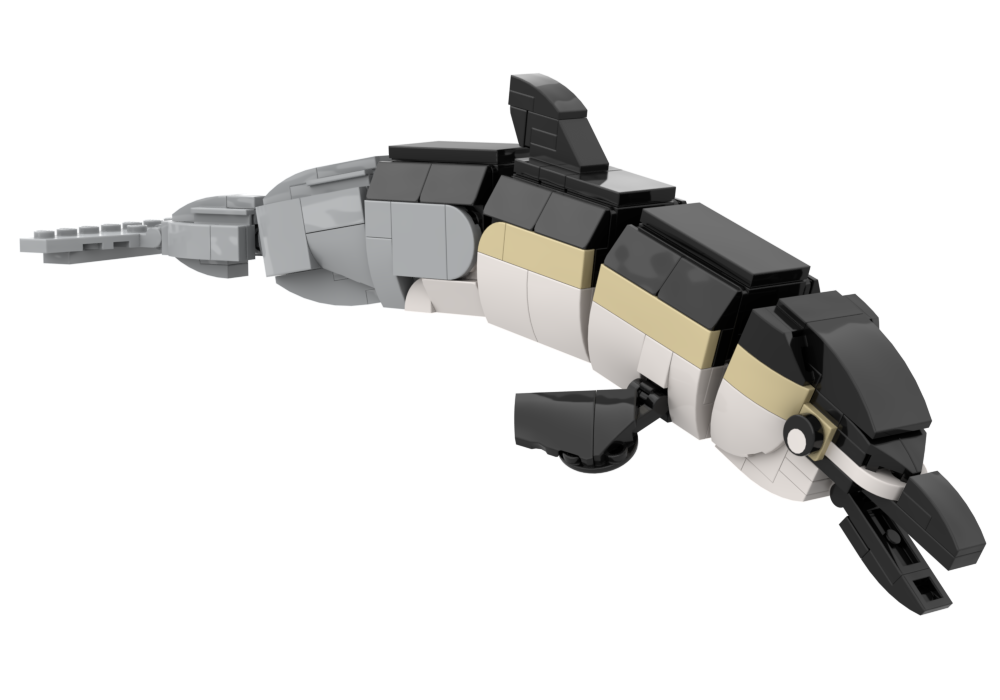 LEGO MOC Common Dolphin (Delphinus delphis) by OrchardBuilds ...