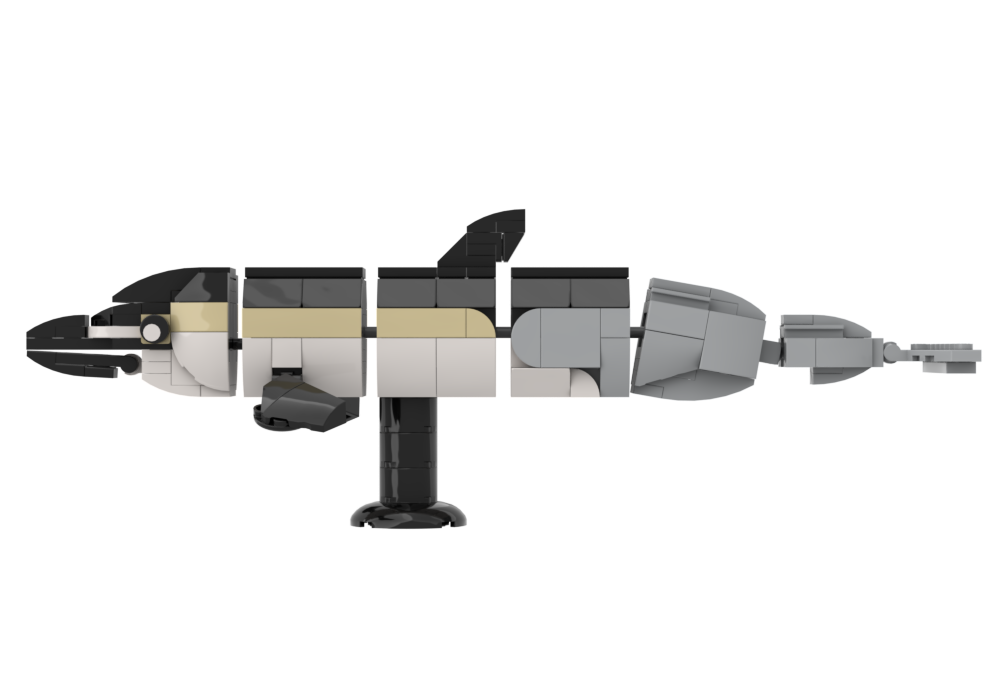 LEGO MOC Common Dolphin (Delphinus delphis) by OrchardBuilds ...