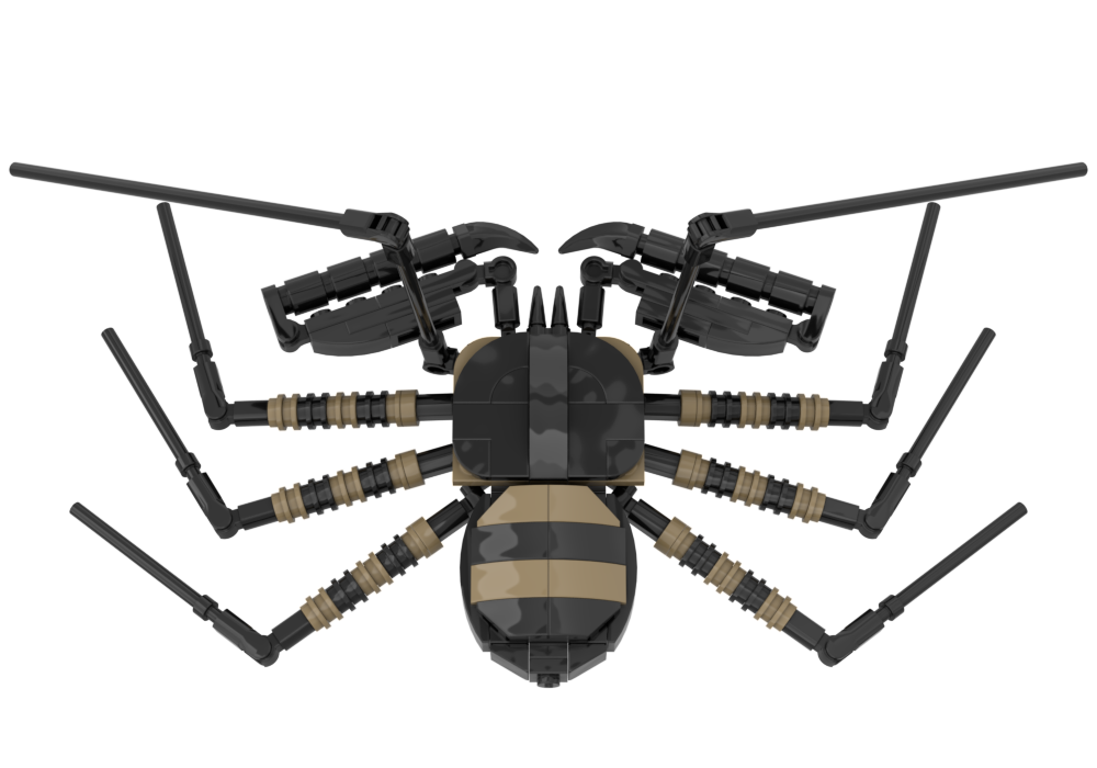 LEGO MOC Tailless Whip Scorpion (Amblypygi Order) by OrchardBuilds ...
