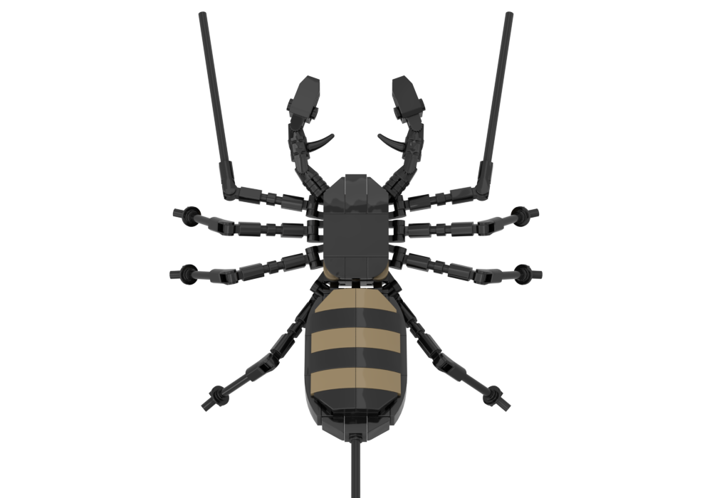 LEGO MOC Vinegaroon (Uropygi Order) by OrchardBuilds | Rebrickable ...