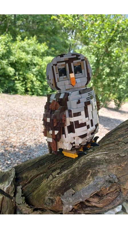 LEGO MOC-210240 Barred Owl by Penguins and plastic | Rebrickable ...