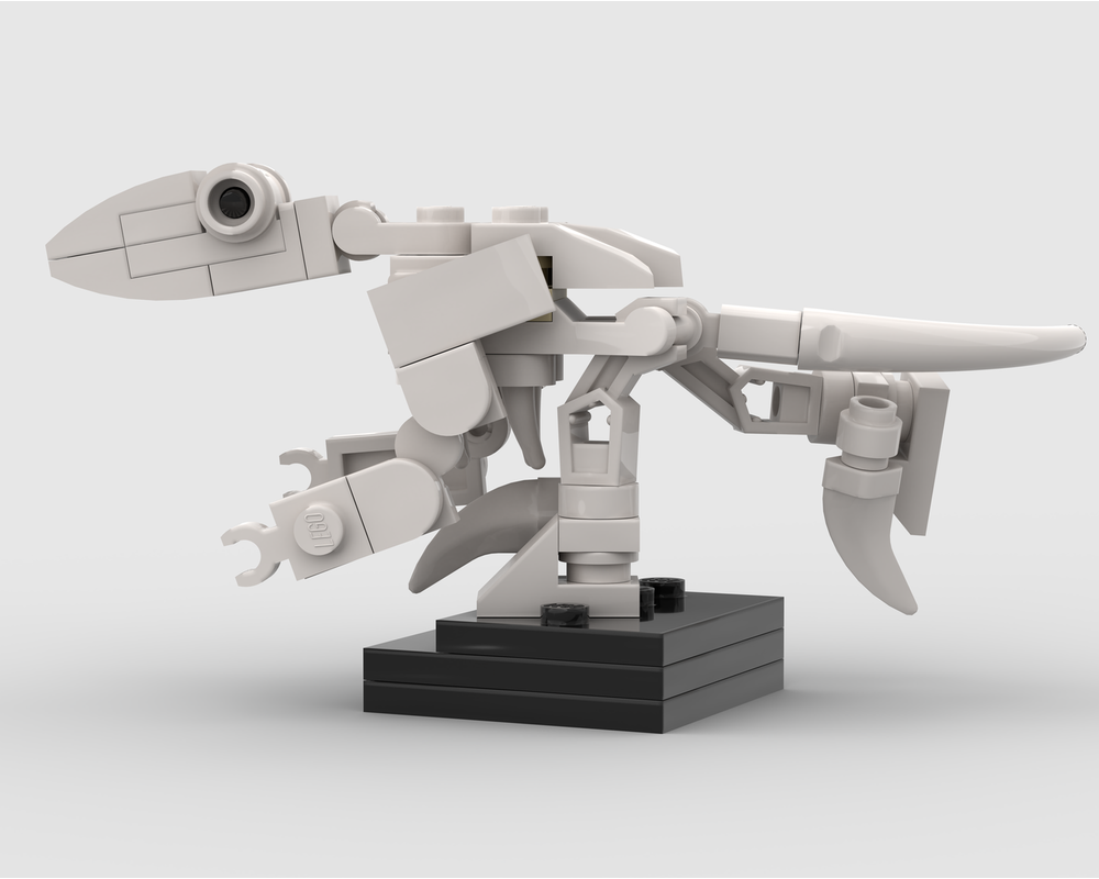 LEGO MOC Raptor Display Skeleton by MesozoicAsh | Rebrickable - Build ...