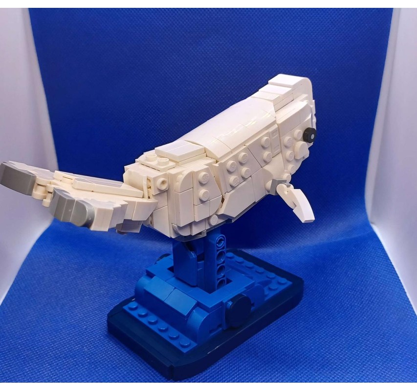 LEGO MOC Beluga whale on stand by Penguins and plastic | Rebrickable ...