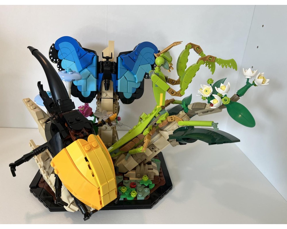 LEGO MOC Insect collection 21342 Modified Base by SuperEagle09 ...
