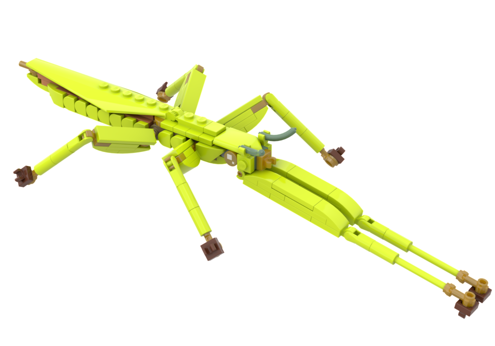 LEGO MOC Children's Stick Insect (Tropidoderus childrenii) The Insect ...