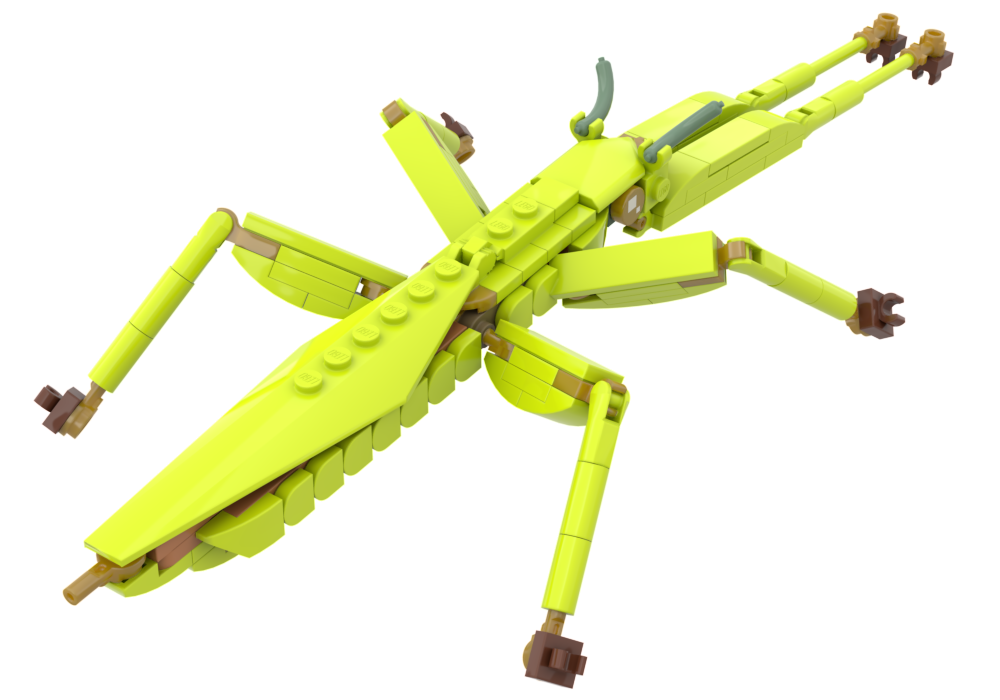 LEGO MOC Children's Stick Insect (Tropidoderus childrenii) The Insect ...