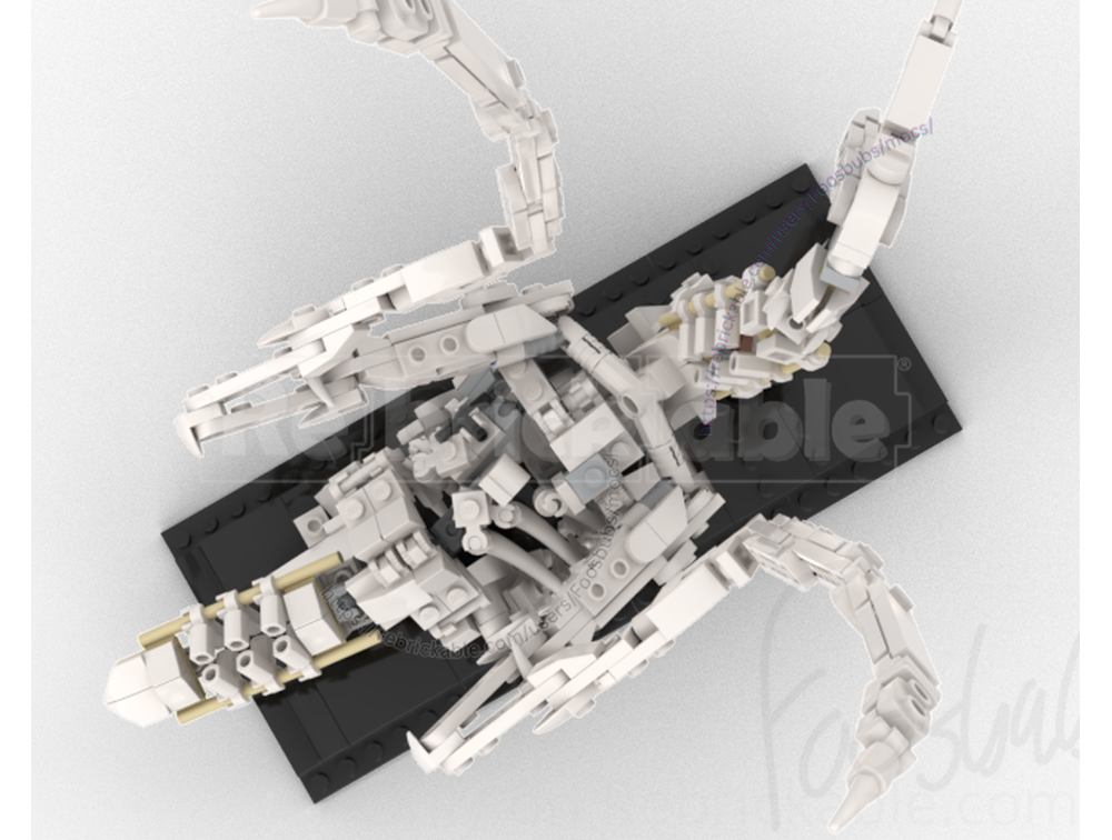 LEGO MOC 21320 Colossal Seratorn Skeleton (Xenocondylus insignis) by ...