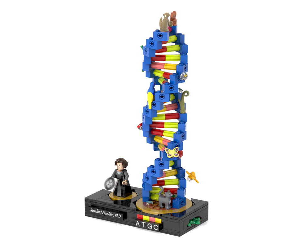 LEGO MOC-223019 Rosalind Franklin and the DNA double helix by Alquimia ...