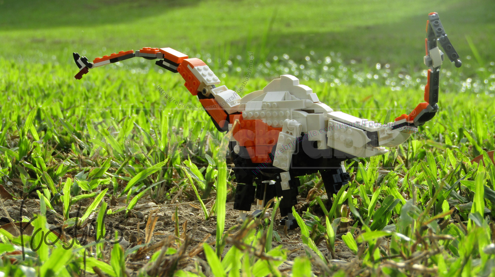 LEGO MOC 31129 Ridgeback Cygnosaur (Saurocygnus mondorsus) by Foosbubs ...