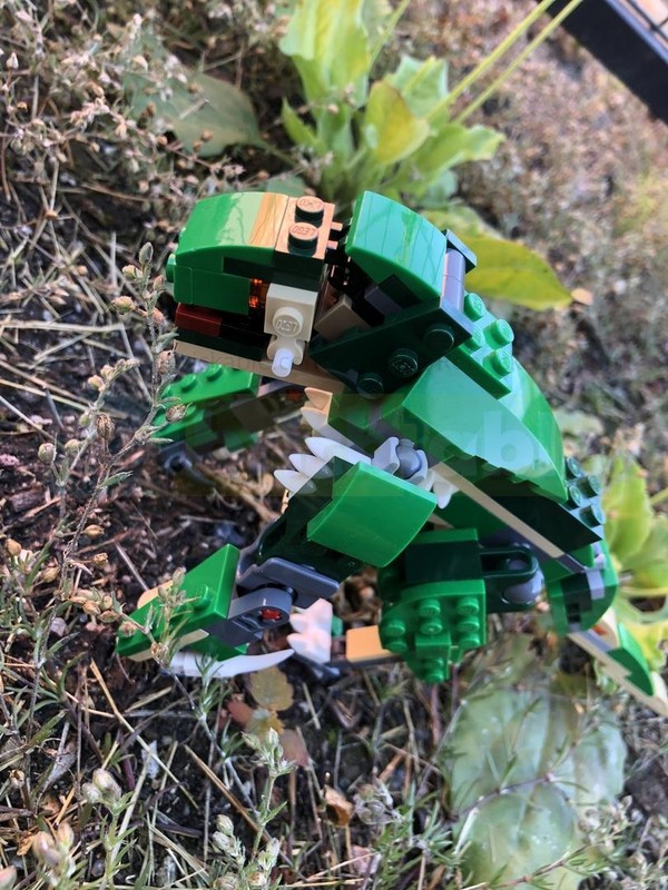 LEGO MOC-227325 D rex by ERP | Rebrickable - Build with LEGO