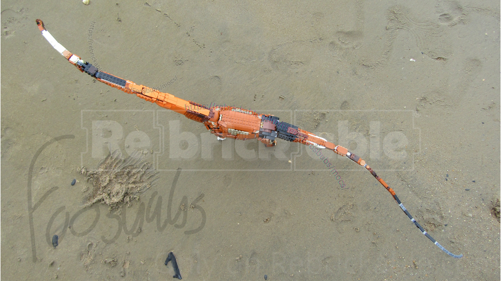 LEGO MOC Barosaurus lentus BYU 9024: 31129 + 31150 + 31154 by Foosbubs ...