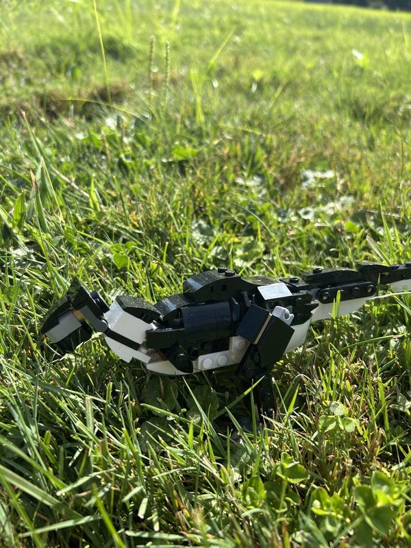 LEGO MOC-229881 Majungasaurus crenatissimus 1:32 scale by ...