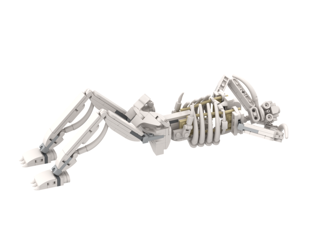 LEGO MOC Human skeleton by jemunoz0 | Rebrickable - Build with LEGO